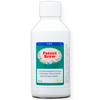 Potent Brew Liquid Probiotic – Pet Megamart inc