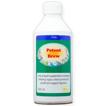 Potent Brew Liquid Probiotic – Pet Megamart inc